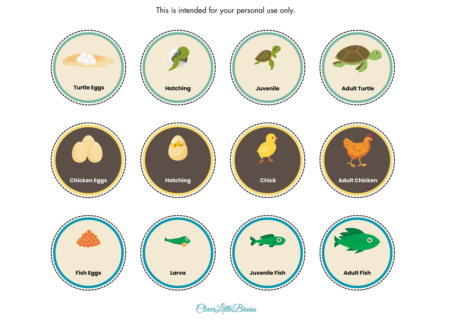 Life Cycles Printable Puzzles | Montessori Life Cycle Puzzle ...