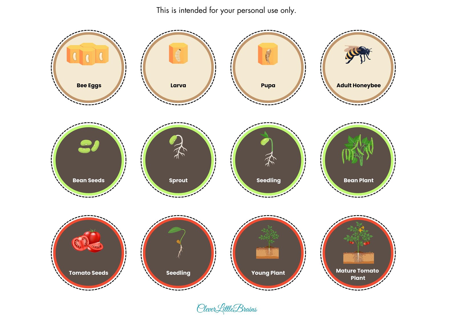 Life Cycles Printable Puzzles | Montessori Life Cycle Puzzle ...