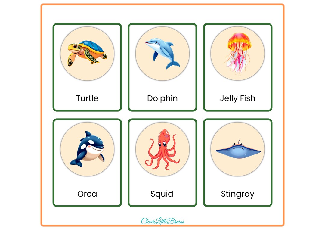 Water Animals Flashcards Water Animals Names With Pictures for Kids ...
