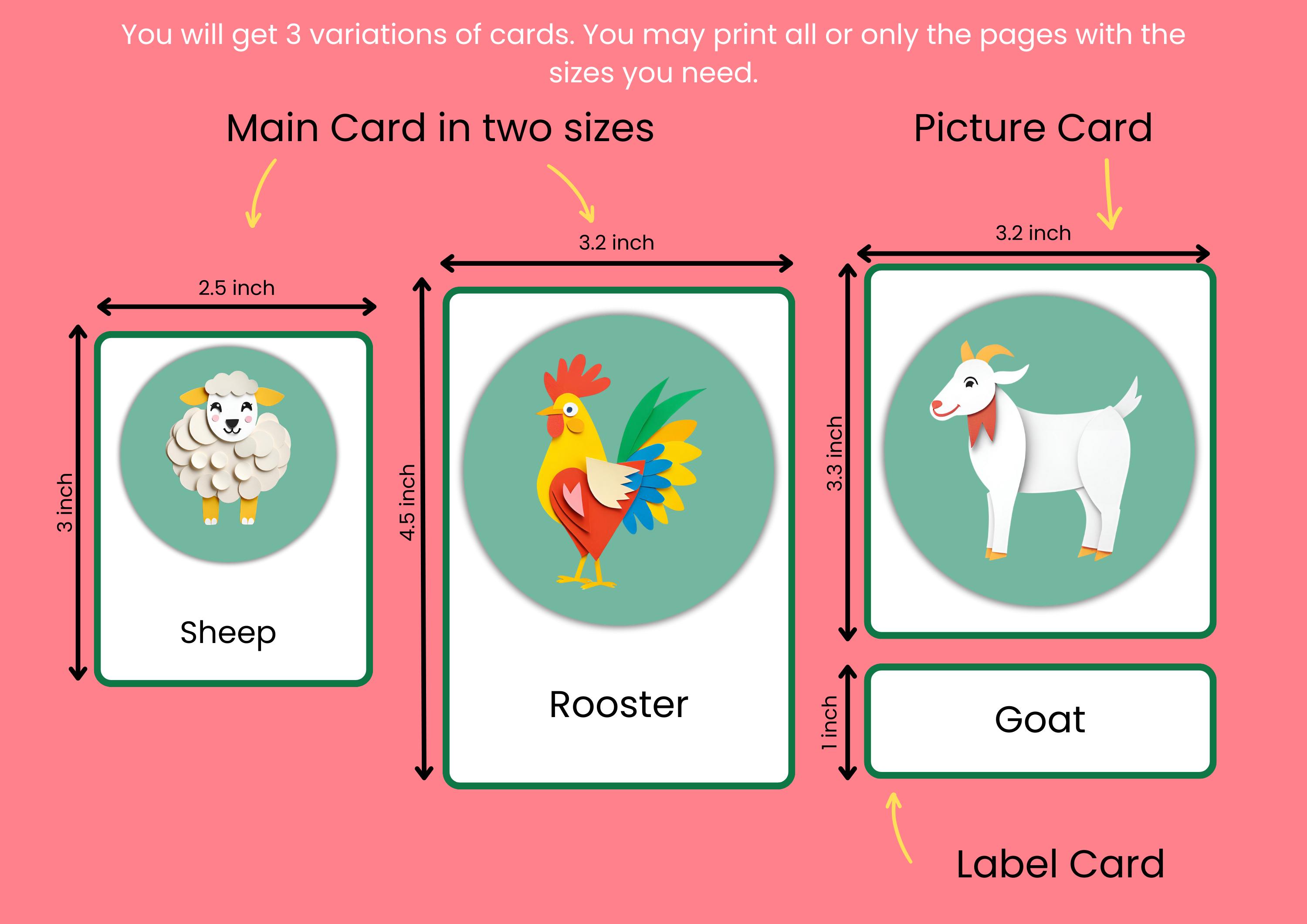 Domestic Animals Flashcards for Kids | Domestic & Farm Animals ...