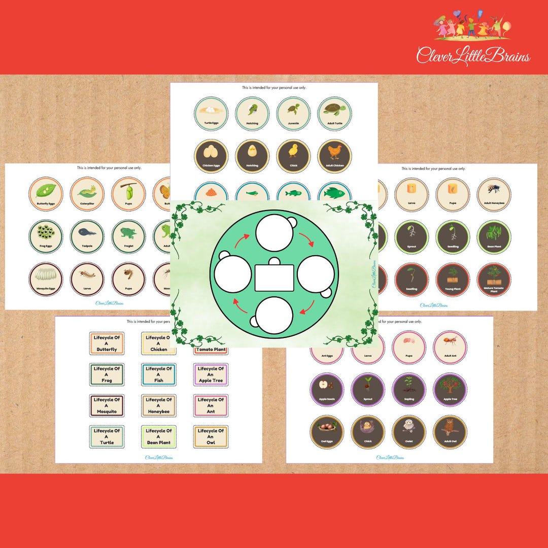 Life Cycles Printable Puzzles | Montessori Life Cycle Puzzle ...