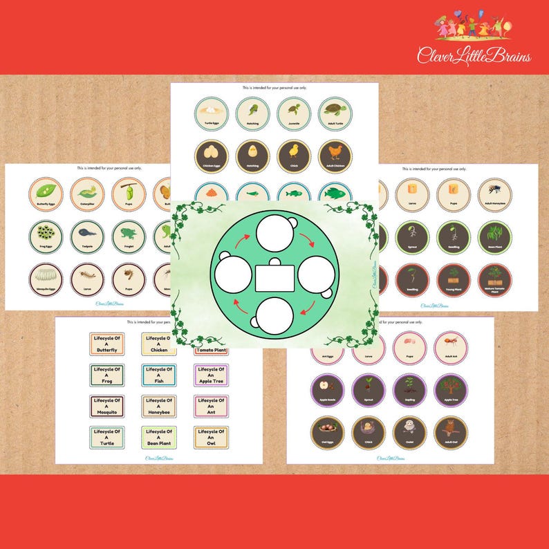 Life Cycles Printable Puzzles Montessori Life Cycle Puzzle Butterfly ...