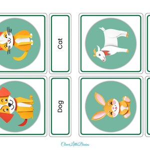 Domestic Animals Flashcards for Kids | Domestic & Farm Animals ...