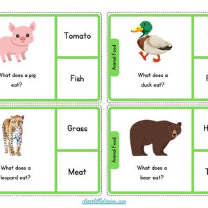 Animal & Its Food Clip Cards 40 Animal Food Matching Animals and Their ...