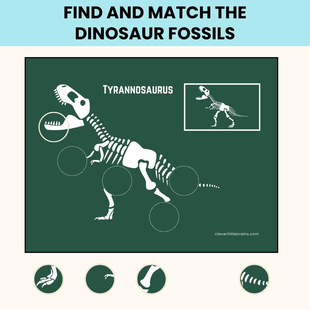 Dinosaur Fossil Matching Activity Printable | Montessori Dinosaur ...