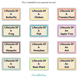 Life Cycles Printable Puzzles | Montessori Life Cycle Puzzle ...