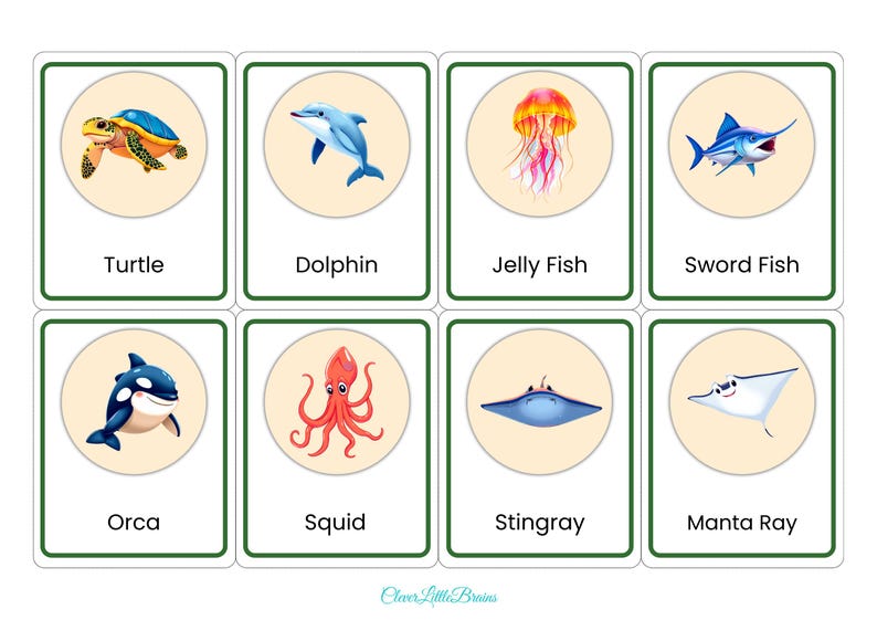 Water Animals Flashcards | Water Animals Names With Pictures for Kids ...