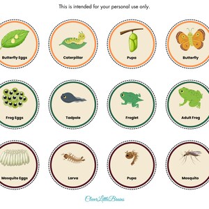 Life Cycles Printable Puzzles | Montessori Life Cycle Puzzle ...