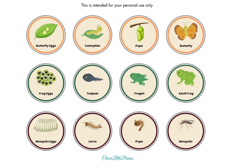 Life Cycles Printable Puzzles Montessori Life Cycle Puzzle Butterfly ...