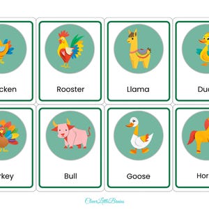 Domestic Animals Flashcards for Kids | Domestic & Farm Animals ...