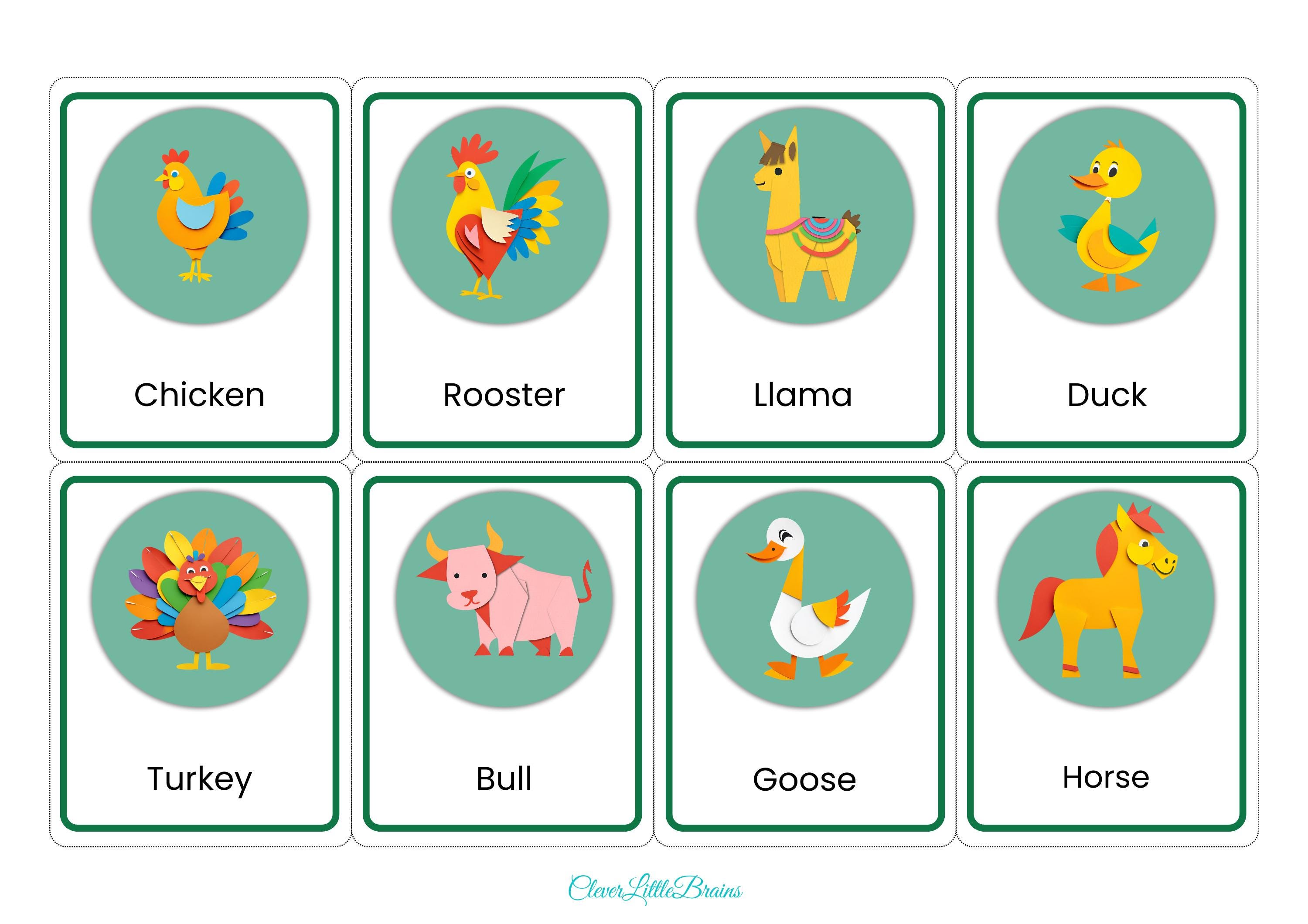 Domestic Animals Flashcards for Kids | Domestic & Farm Animals ...