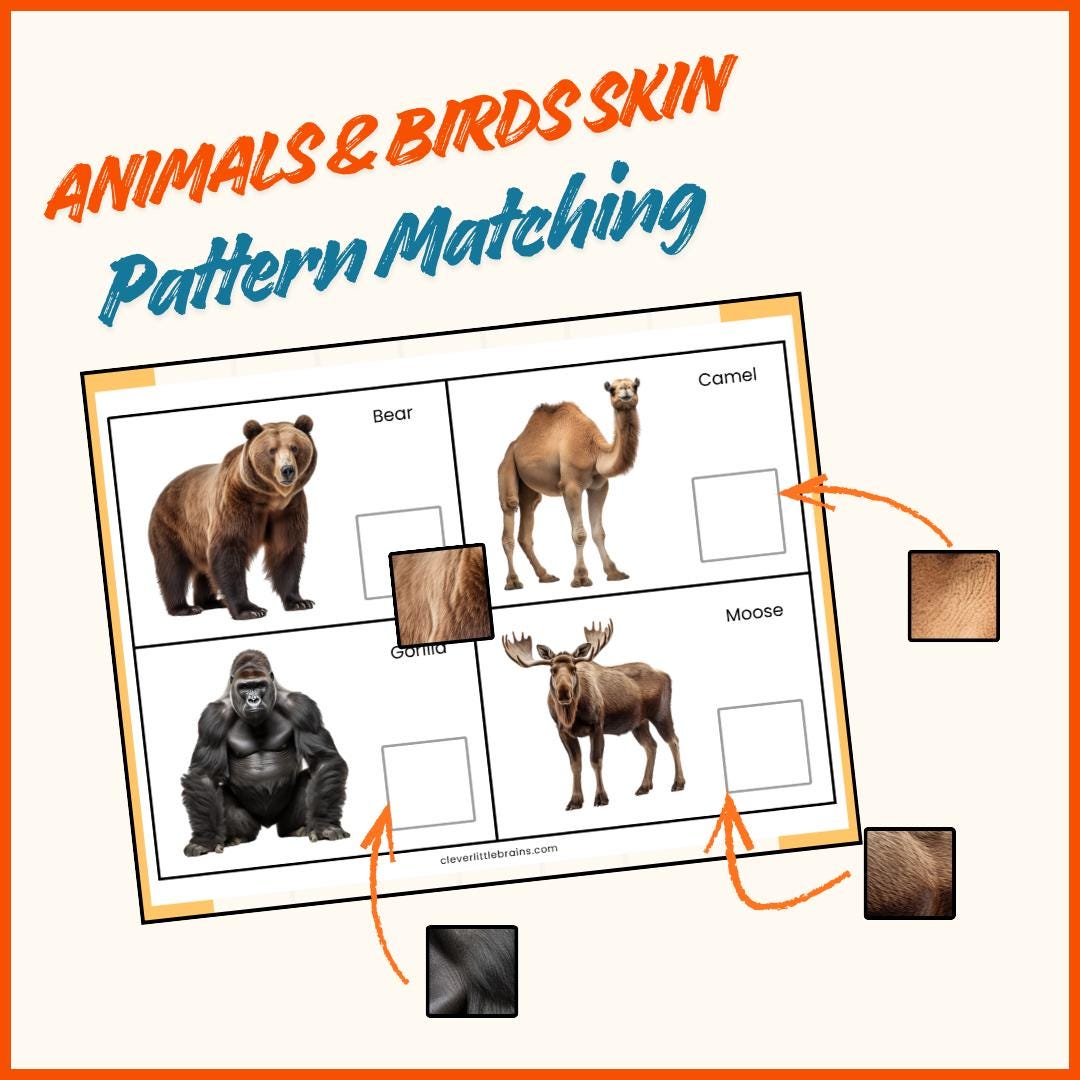 Animals Skin Pattern Matching Worksheet for Preschool | Kindergarten ...