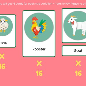 Domestic Animals Flashcards for Kids | Domestic & Farm Animals ...