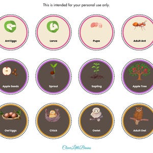 Life Cycles Printable Puzzles | Montessori Life Cycle Puzzle ...