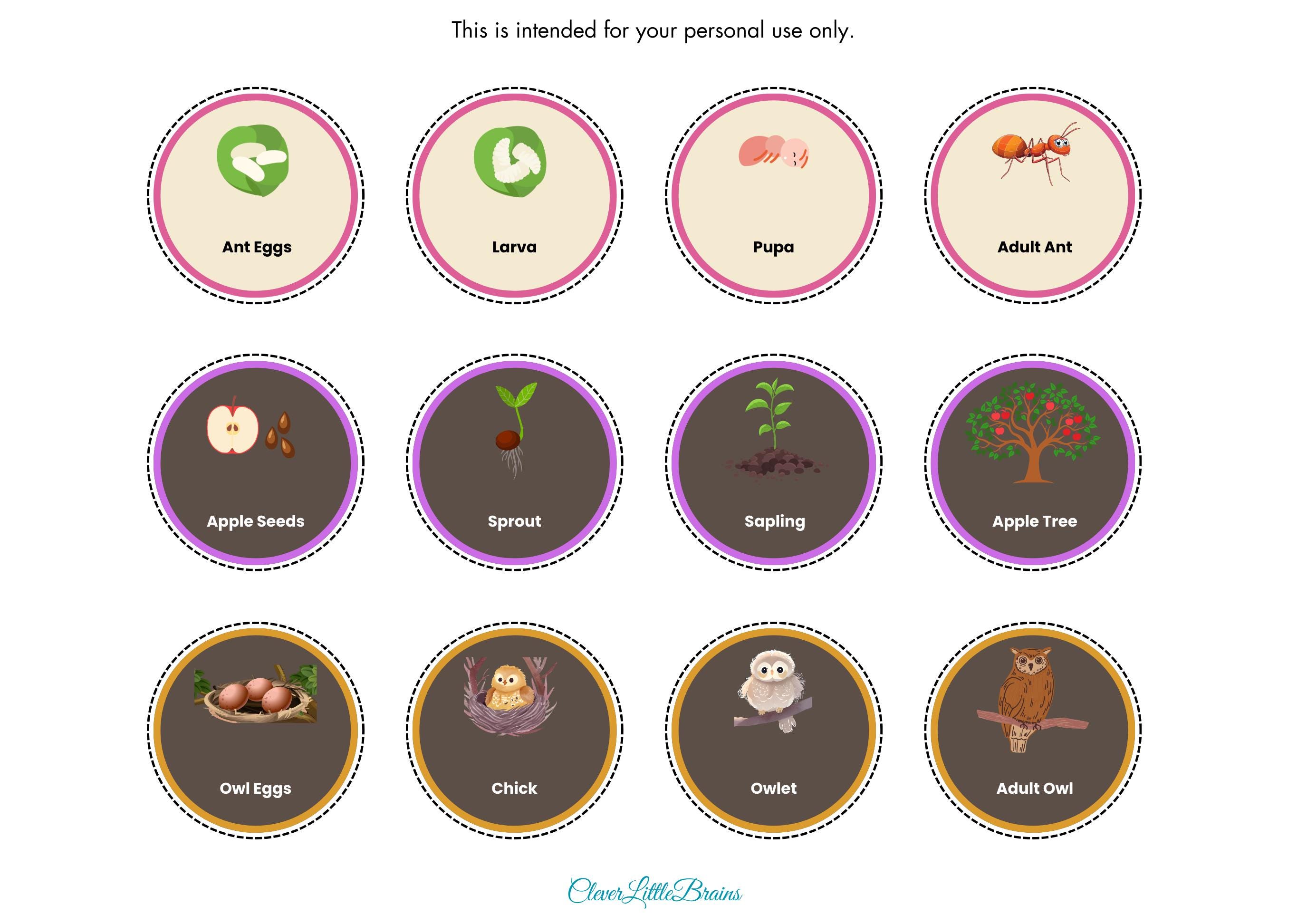 Life Cycles Printable Puzzles | Montessori Life Cycle Puzzle ...