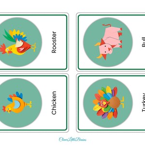 Domestic Animals Flashcards for Kids | Domestic & Farm Animals ...