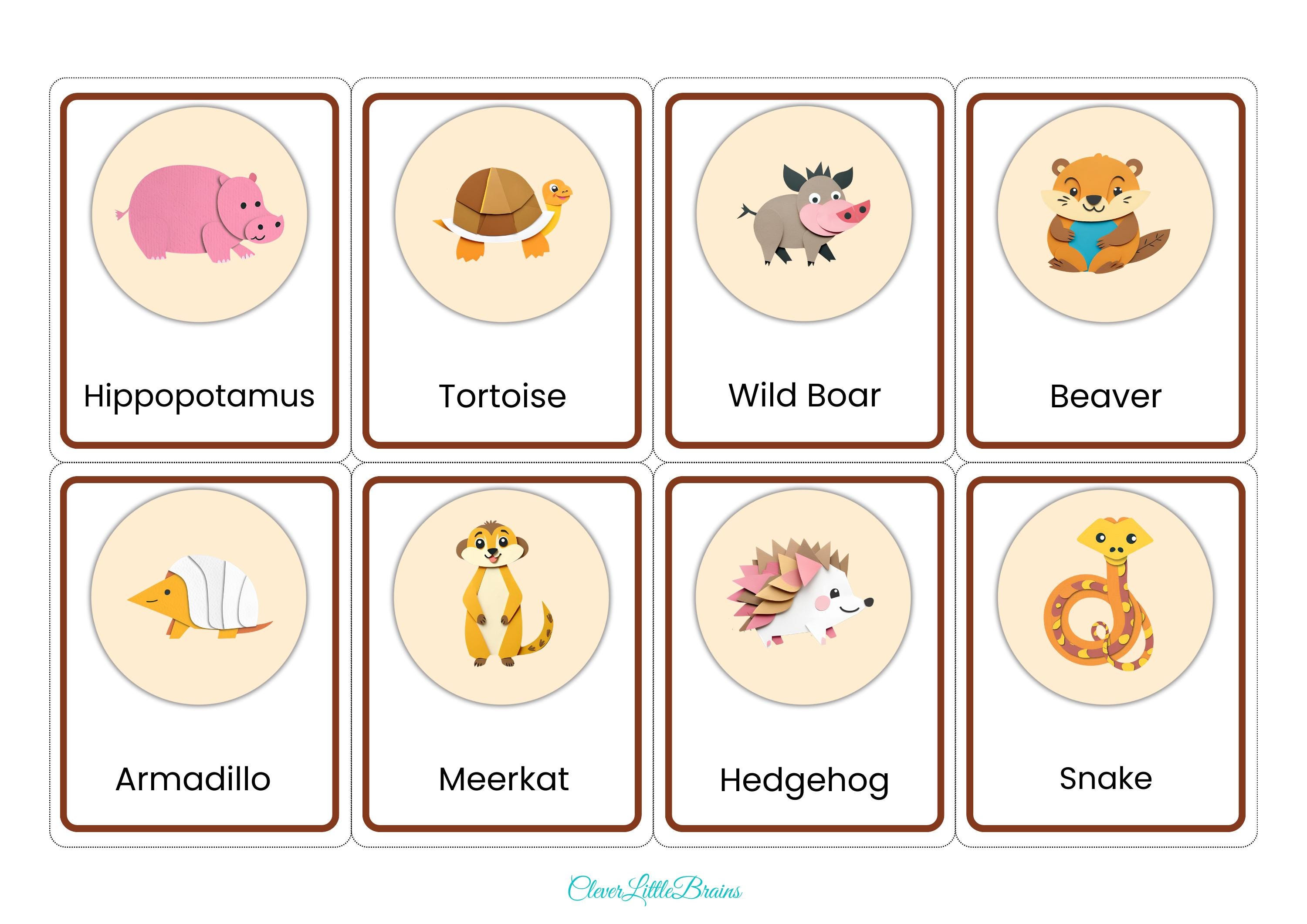 32 Wild Animals Flashcards | Wild Animals Names With Pictures for Kids ...