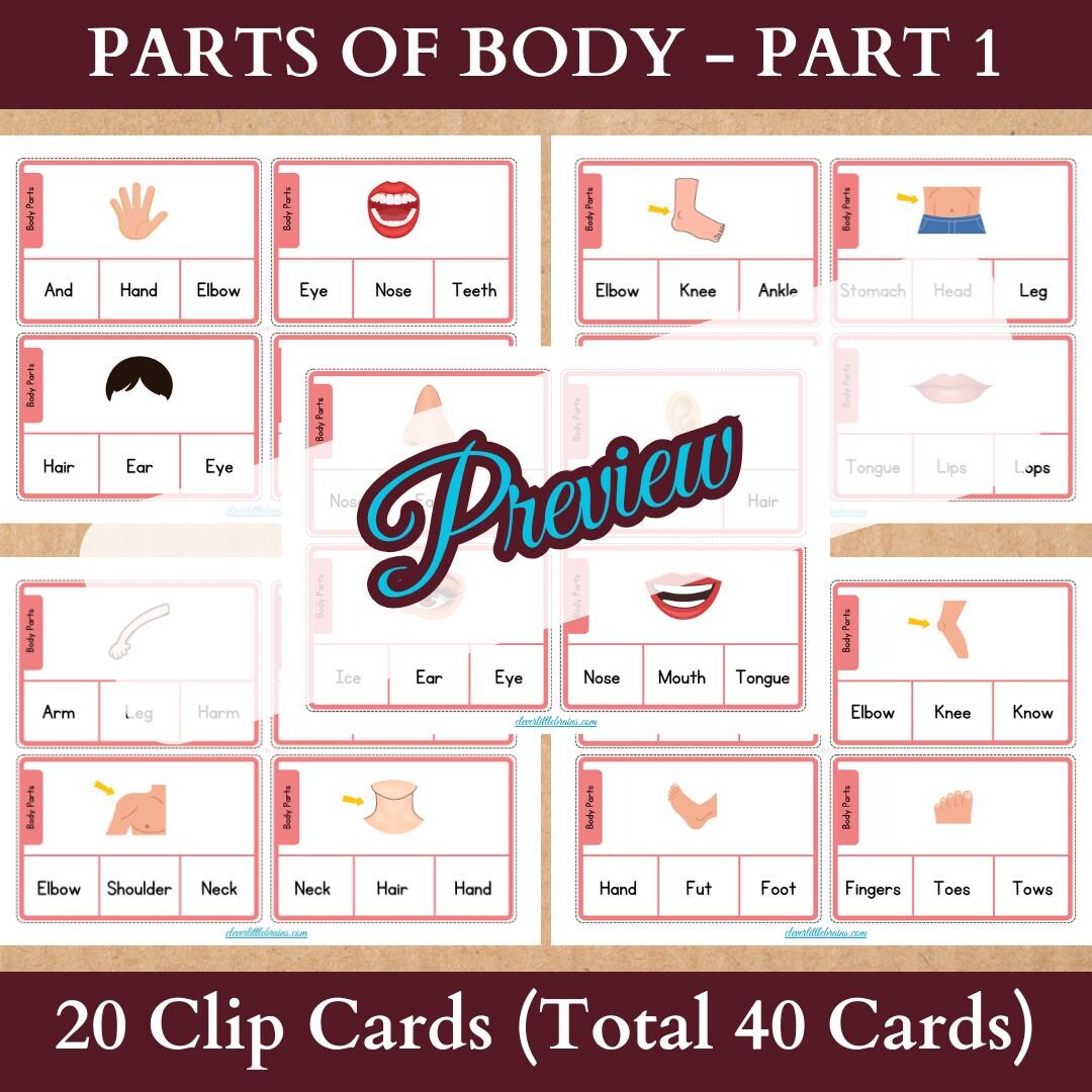 Body Parts Clip Cards | Match Body Part to Name | Body Part Names for ...