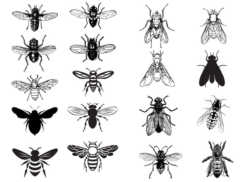 Fly SVG File: Insect Clipart for Cricut, Silhouette - Etsy