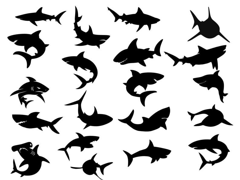 Shark Svg Bundle, Shark Png, Sharks Svg, Cute Shark Svg, Shark Clipart ...