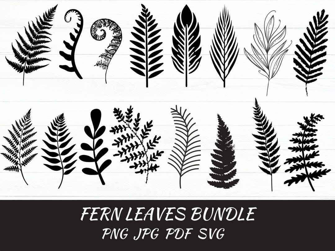 Fern Leaves Svg, Fern Cricut, Fern Svg Bundle, Fern Leaf SVG, Fern ...
