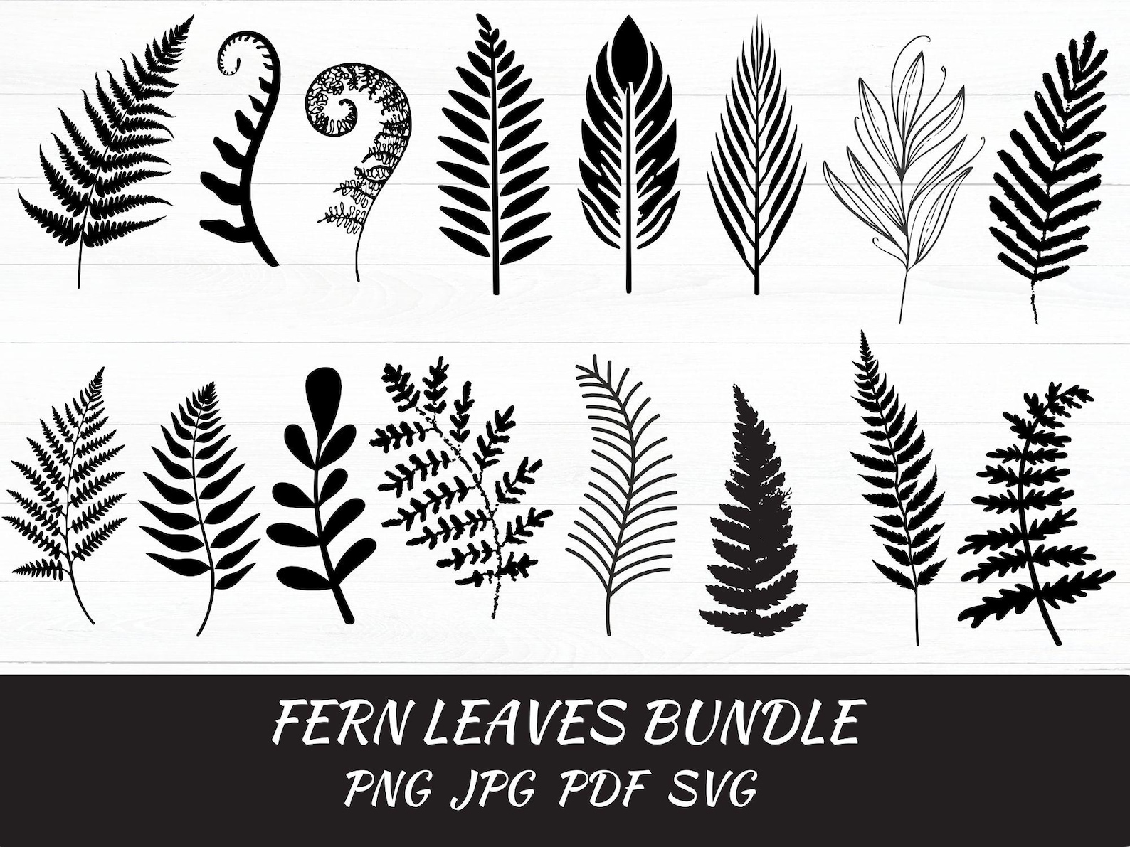 Fern Leaves Svg, Fern Cricut, Fern Svg Bundle, Fern Leaf SVG, Fern ...