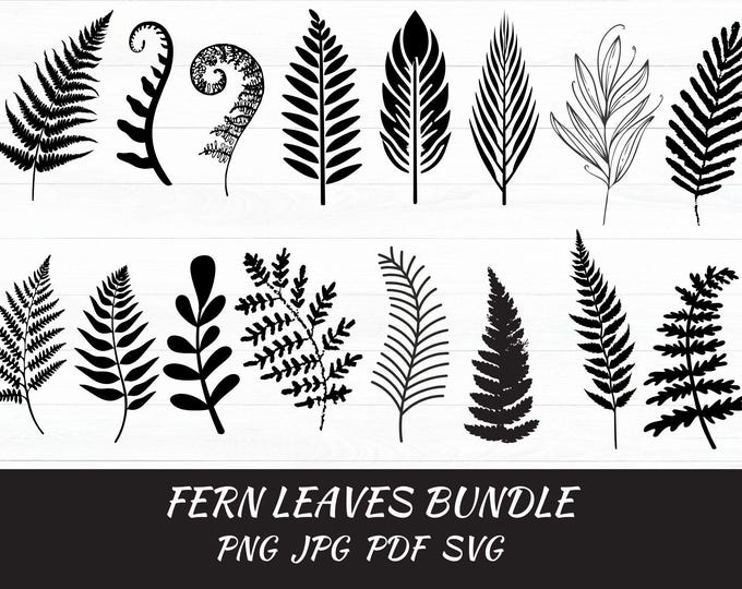 Farn Blätter SVG, Farn Clipart, Boho Schmuck, Botanische Silhouette ...