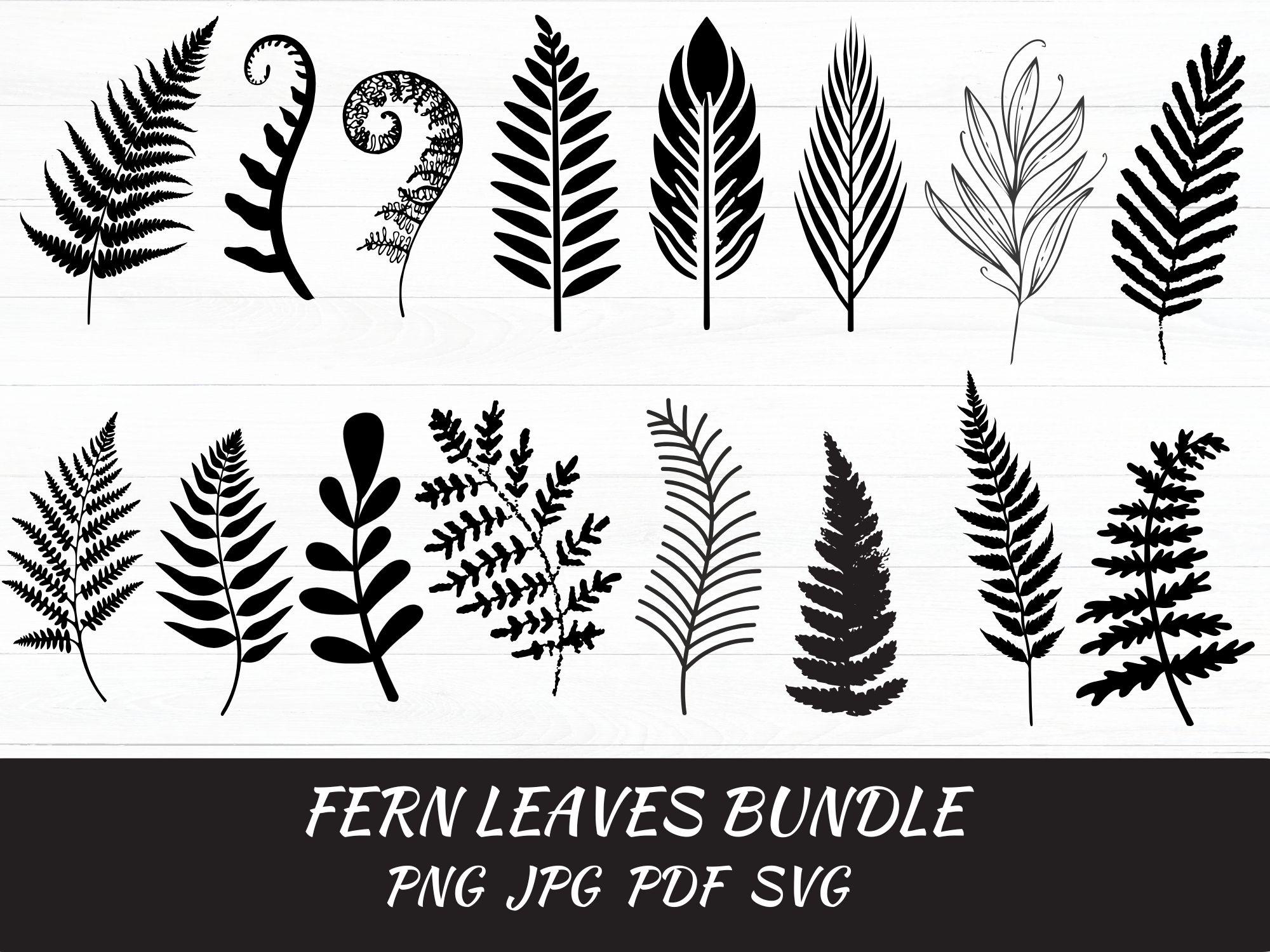 Fern Leaves Svg, Fern Cricut, Fern Svg Bundle, Fern Leaf SVG, Fern ...