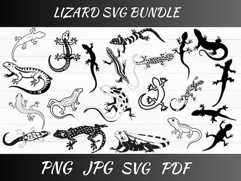 Lizard SVG Bundle, Gecko & Salamander Cut Files (png, Jpg, Pdf) - Etsy