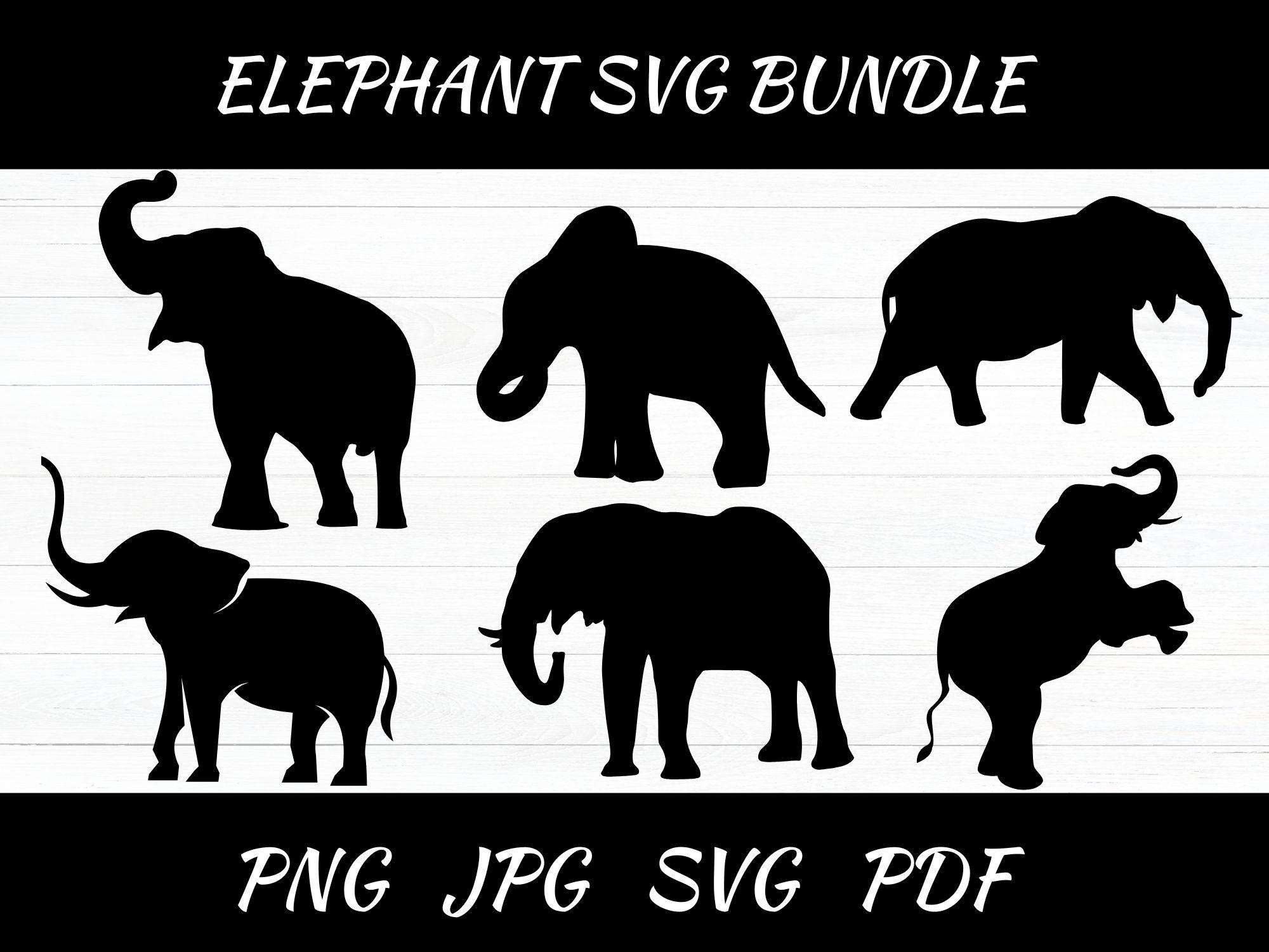 Elephant SVG | Elephant SVG Bundle | Elephant Cut File | Elephant ...