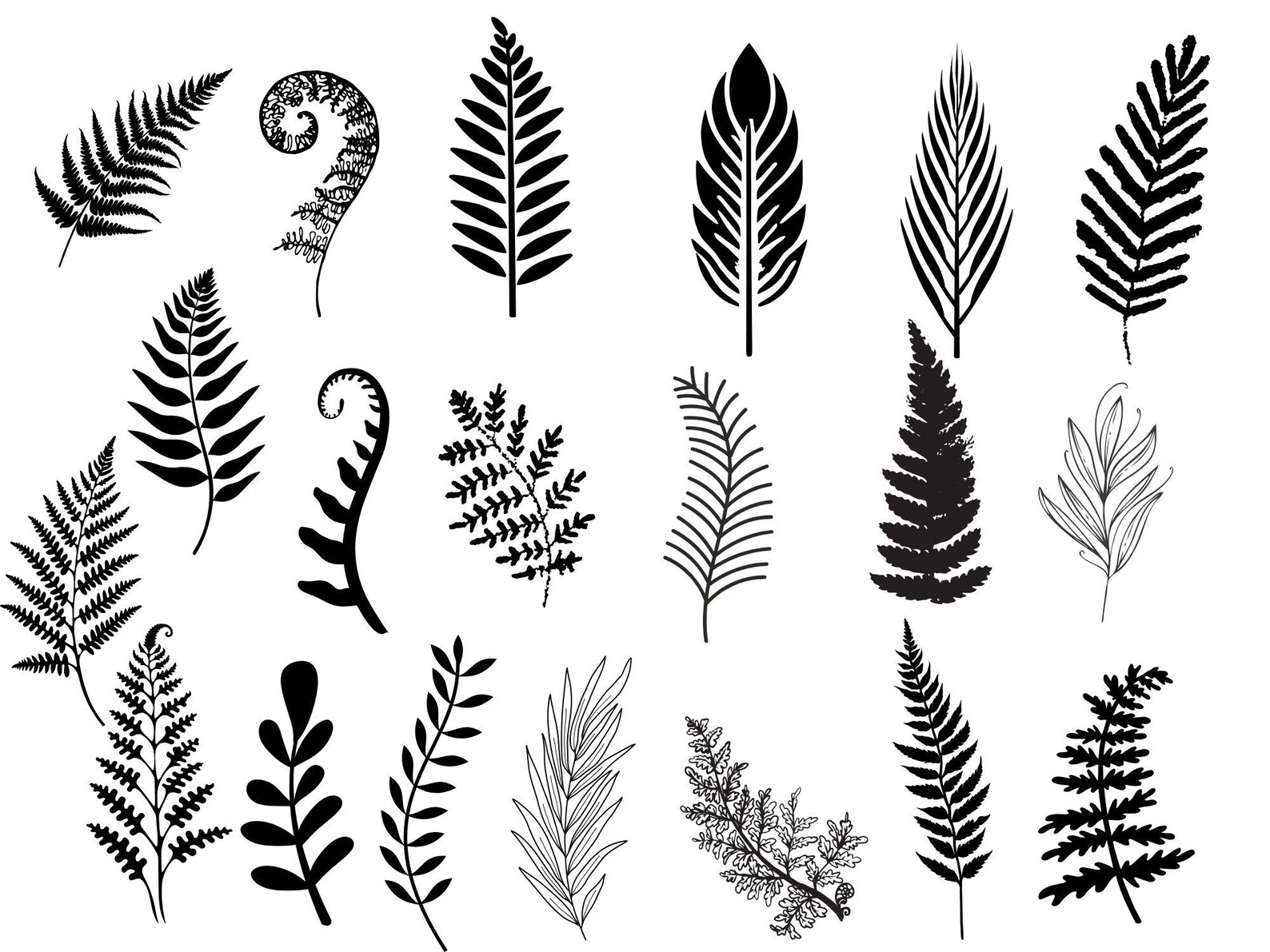 Fern Leaves Svg, Fern Cricut, Fern Svg Bundle, Fern Leaf SVG, Fern ...
