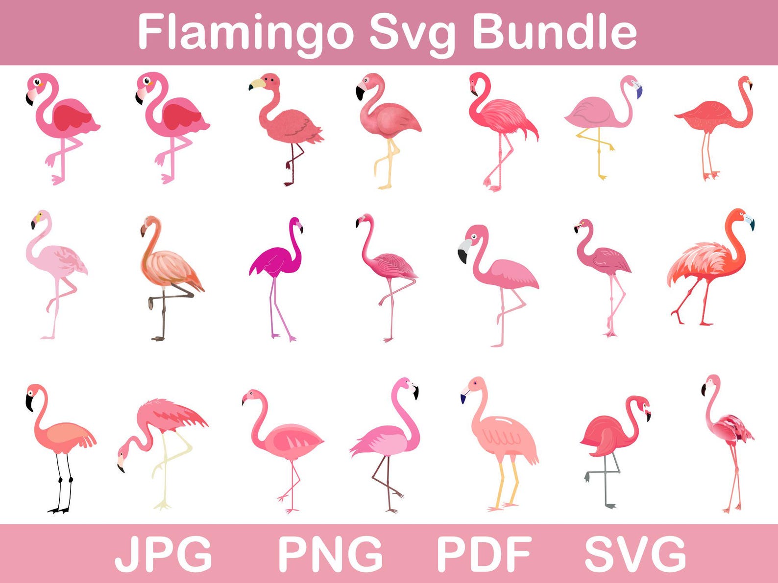 Flamingo SVG | Bird SVG | Flamingo SVG Bundle | Flamingo Cut File ...