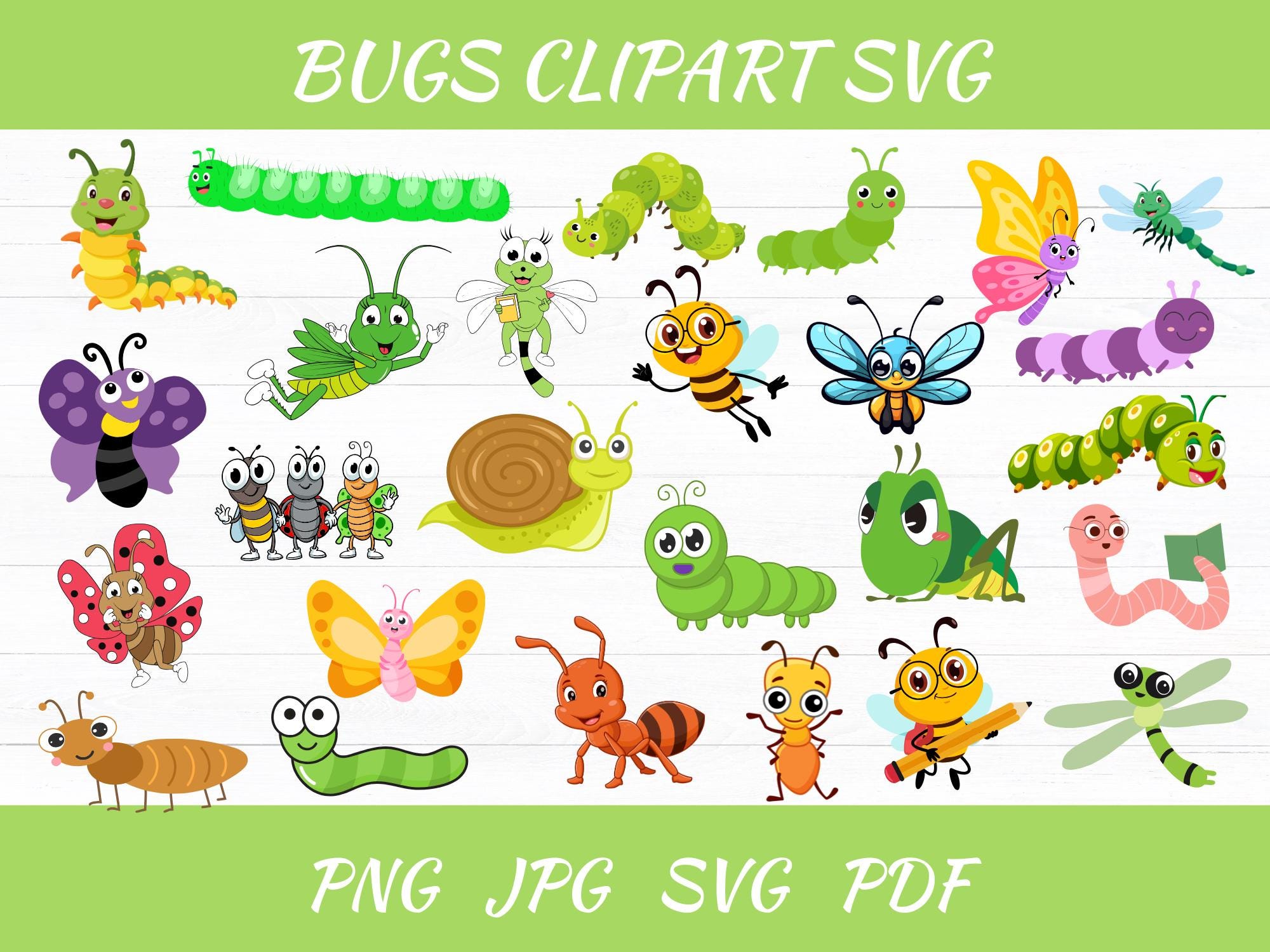Bugs and Insects Clipart Bundle: Butterfly, Ladybug SVG & PNG - Etsy