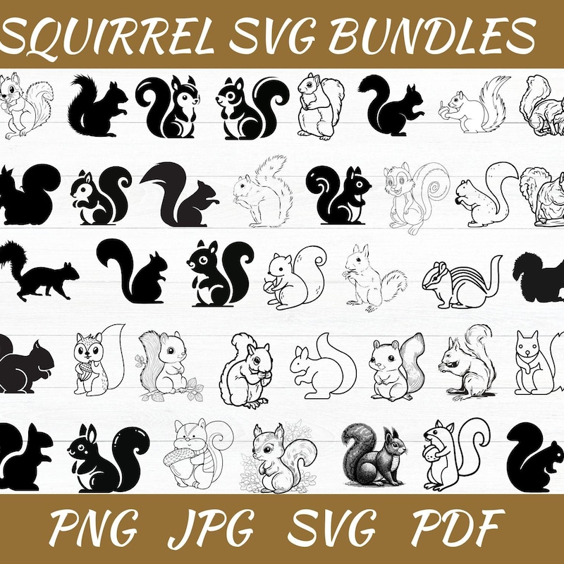 Squirrel Svg - Etsy