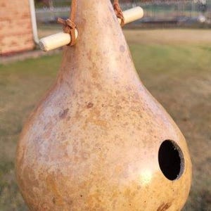 Martin Gourd Birdhouse in Natural Tan - Etsy