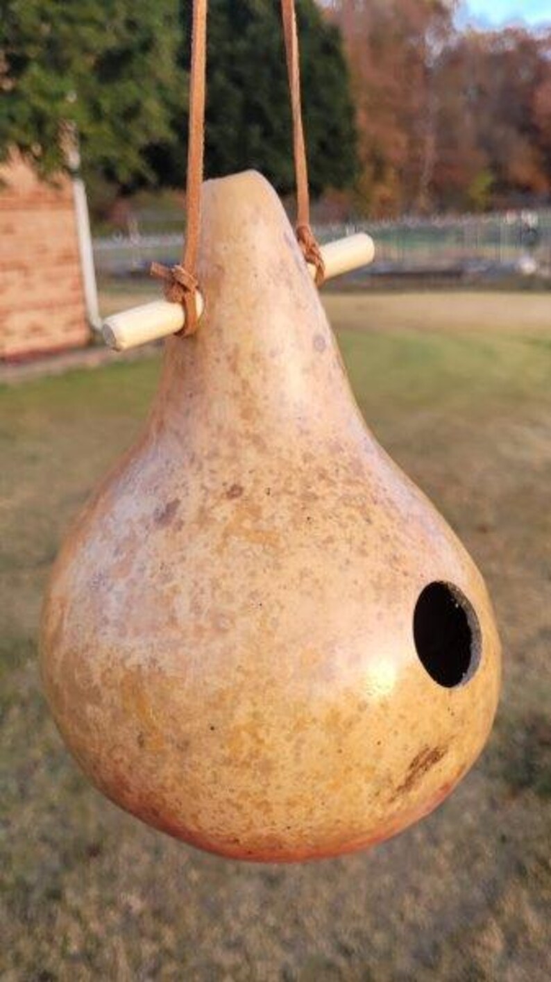 Martin Gourd Birdhouse in Natural Tan - Etsy