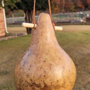 Martin Gourd Birdhouse in Natural Tan - Etsy
