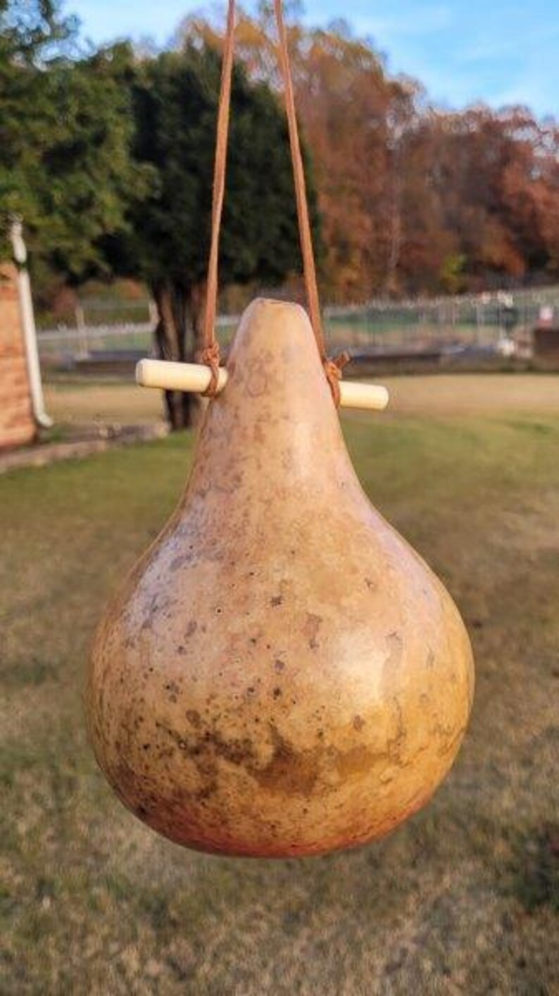 Martin Gourd Birdhouse in Natural Tan - Etsy