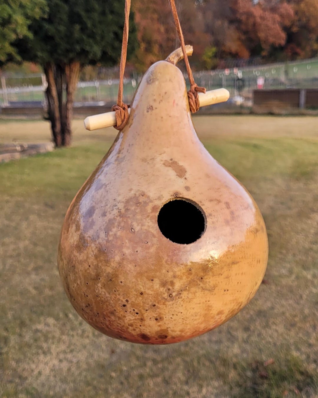Martin Gourd Birdhouse in Natural Tan - Etsy