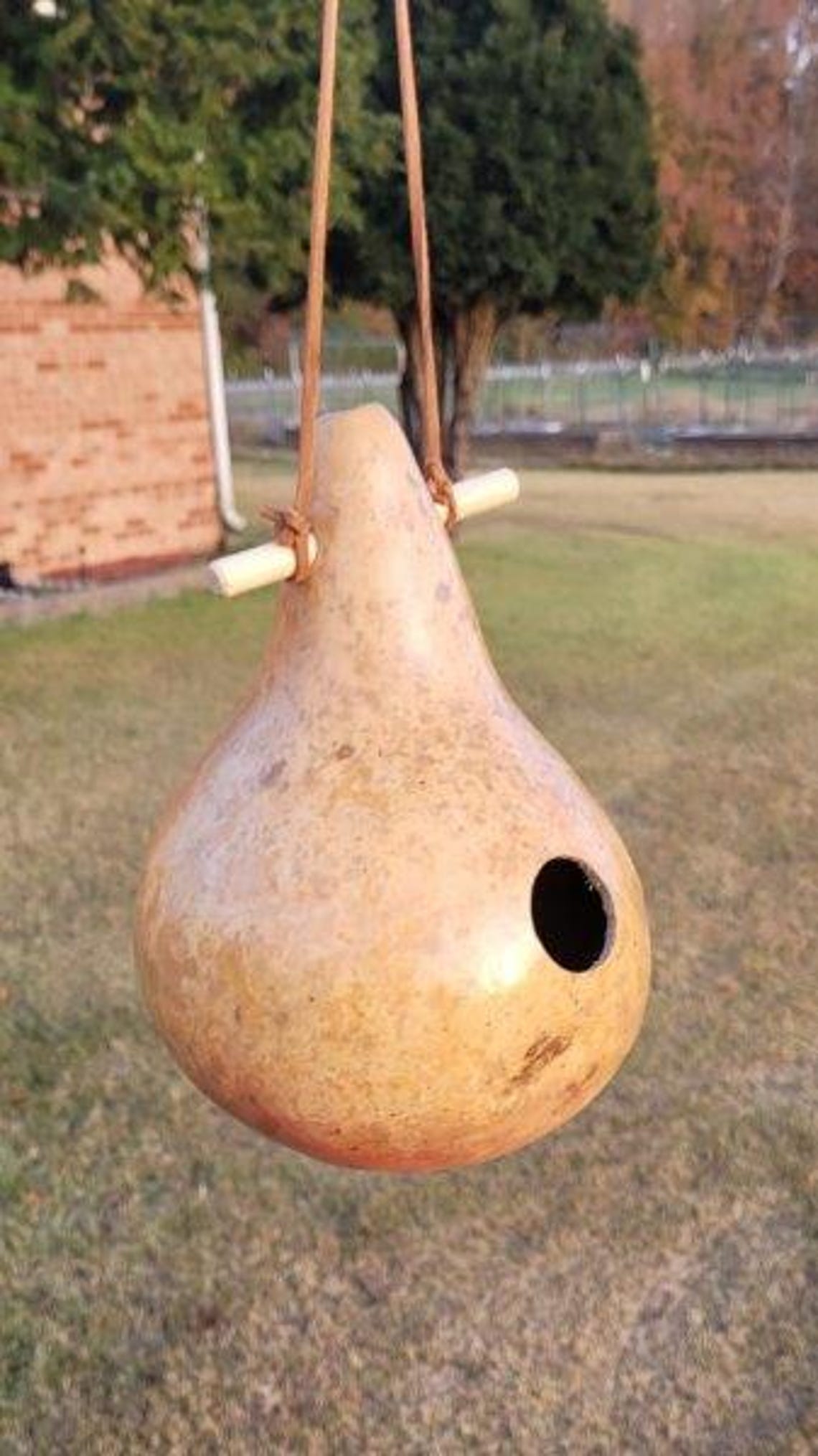 Martin Gourd Birdhouse in Natural Tan - Etsy