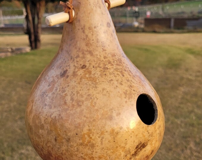 Martin Gourd Birdhouse in Natural Tan - Etsy