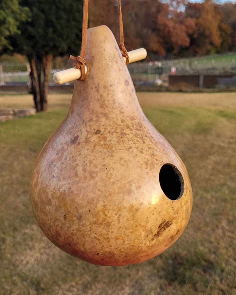 Martin Gourd Birdhouse in Natural Tan - Etsy