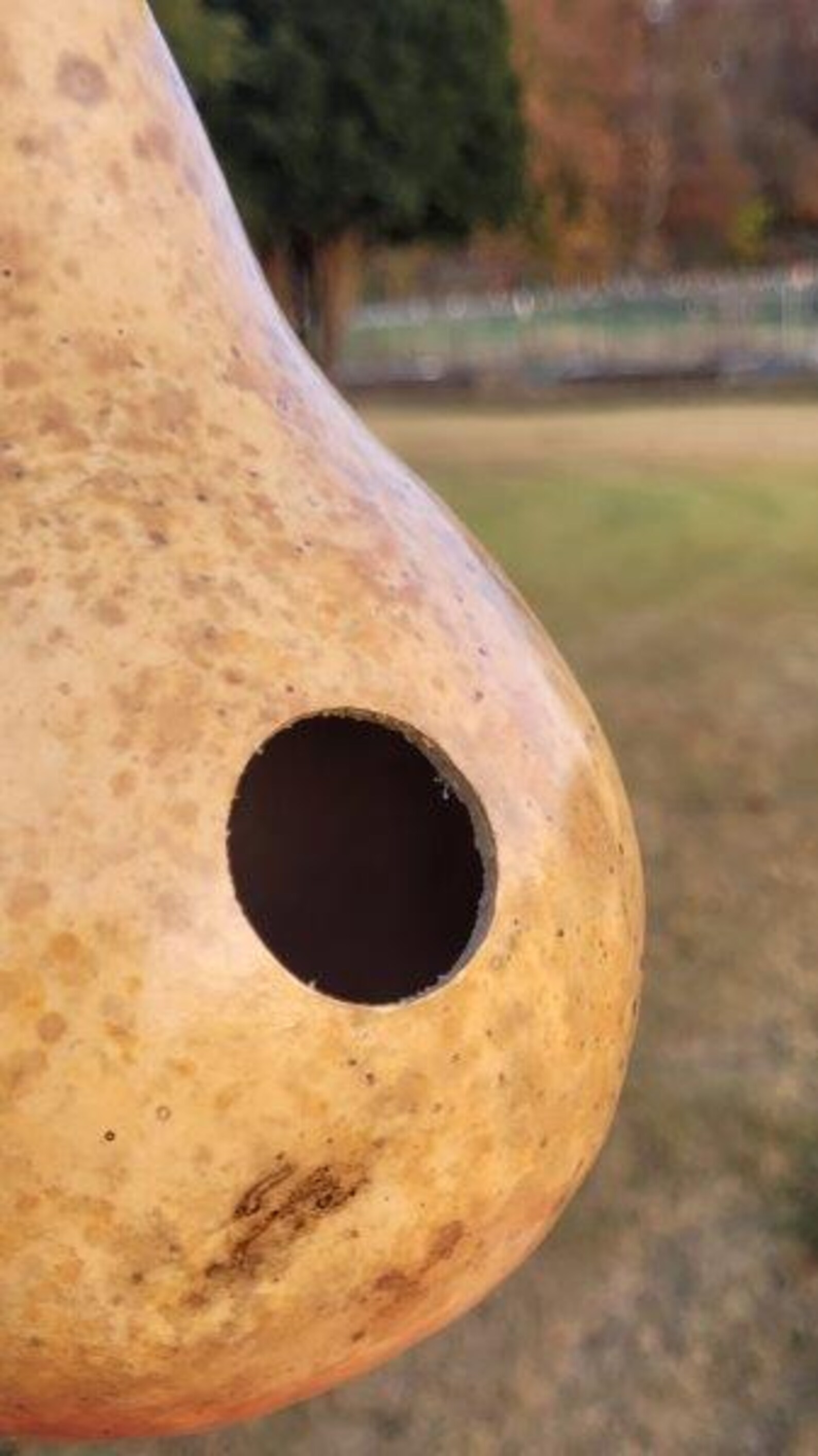 Martin Gourd Birdhouse in Natural Tan - Etsy