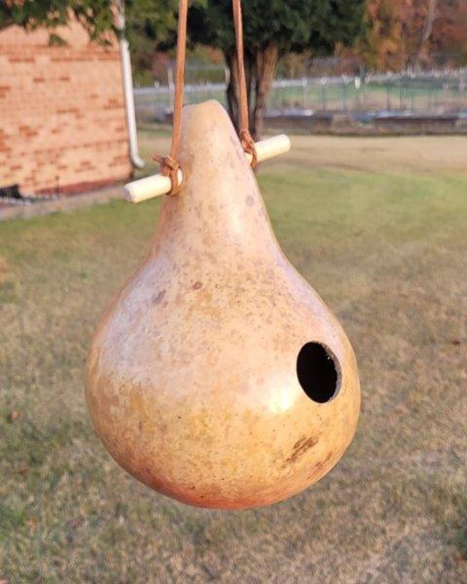 Martin Gourd Birdhouse in Natural Tan - Etsy