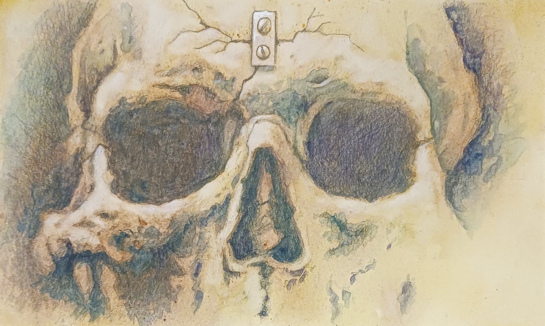 Decaying Skull, Original Unframed Art - Etsy