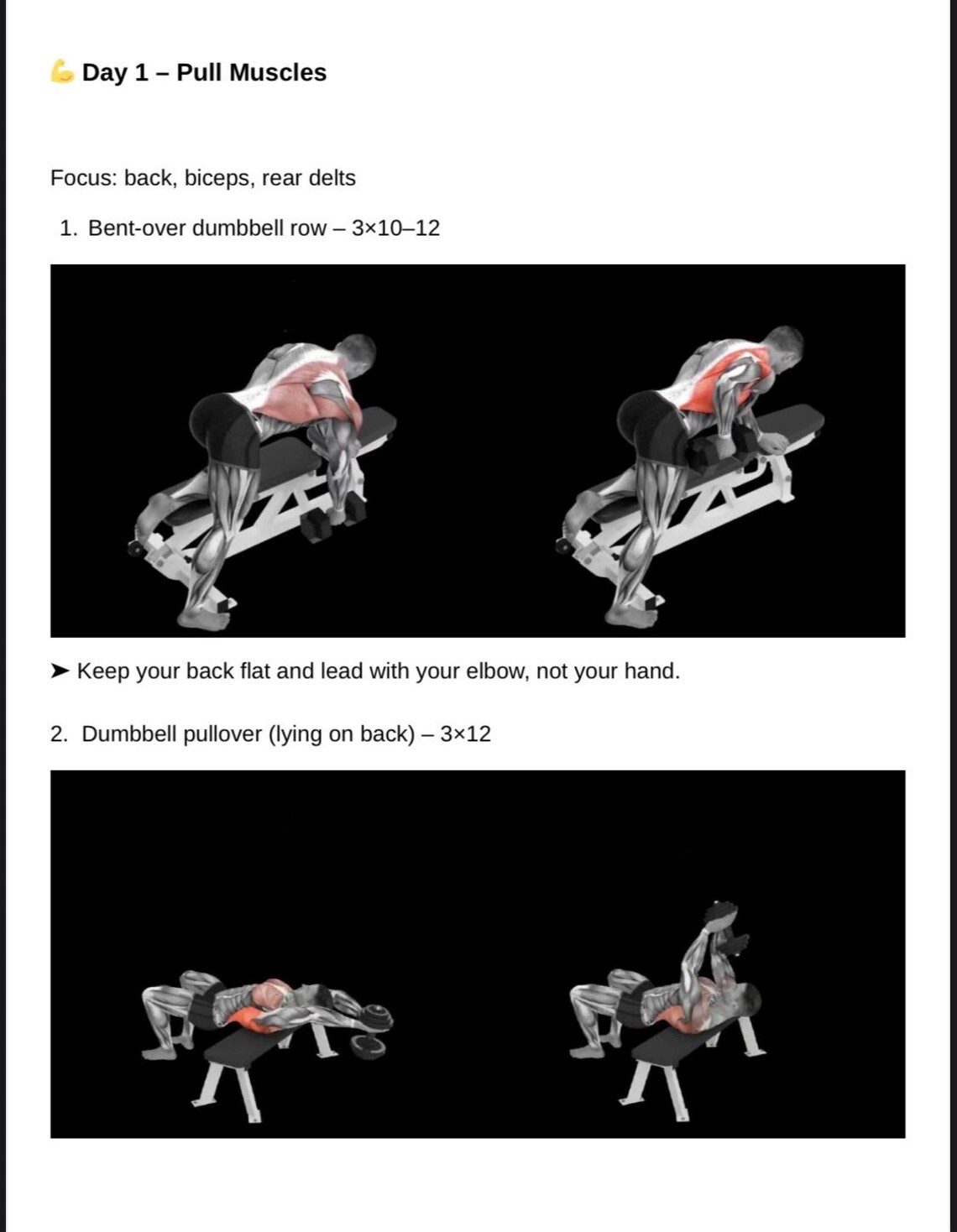 3-day Dumbbell Workout Plan | Full Body Home Training Guide for ...