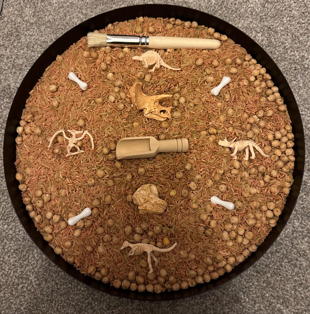 Fossil Sensory Venture Kit|rice Play|messy Play|pretend Play|tuff Tray ...