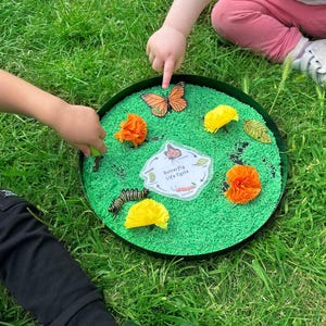 Butterfly Life Cycle Sensory Venture Kit|rice Play|messy Play|pretend ...