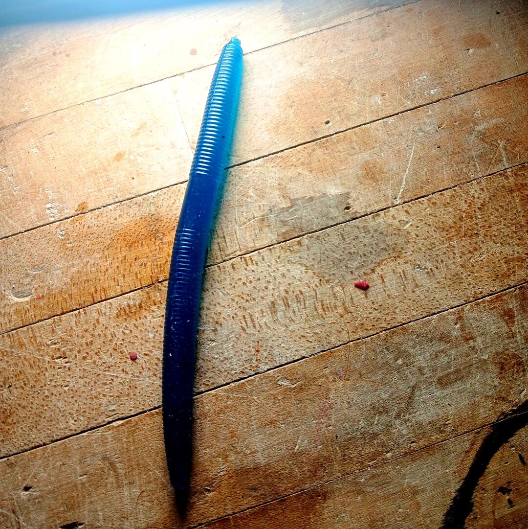 4" SANKO WORMS - Custom Soft Plastic Bait - Etsy