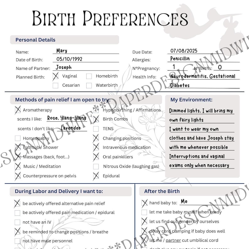 Birth Plan Template by a Midwife - Birth Preferences Printable, Digital ...